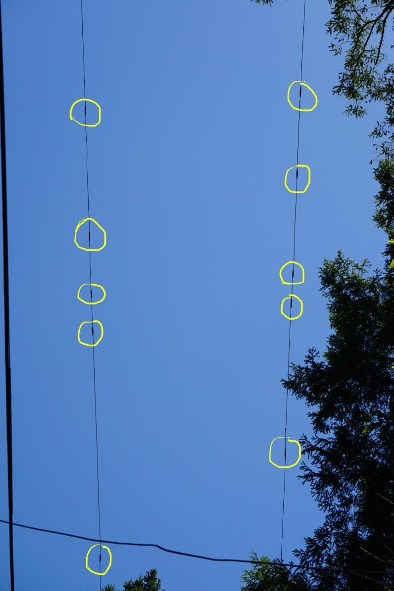 Outages – Environmental Coalition for Power Line Safety